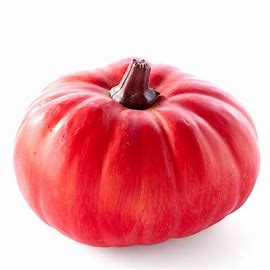 red pumkin kg | VIVASAYI FRESH