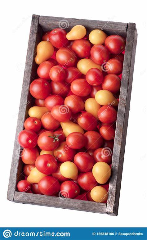 tomato (box) (medium) | VIVASAYI FRESH