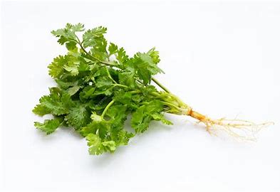malli (10pcs) | VIVASAYI FRESH